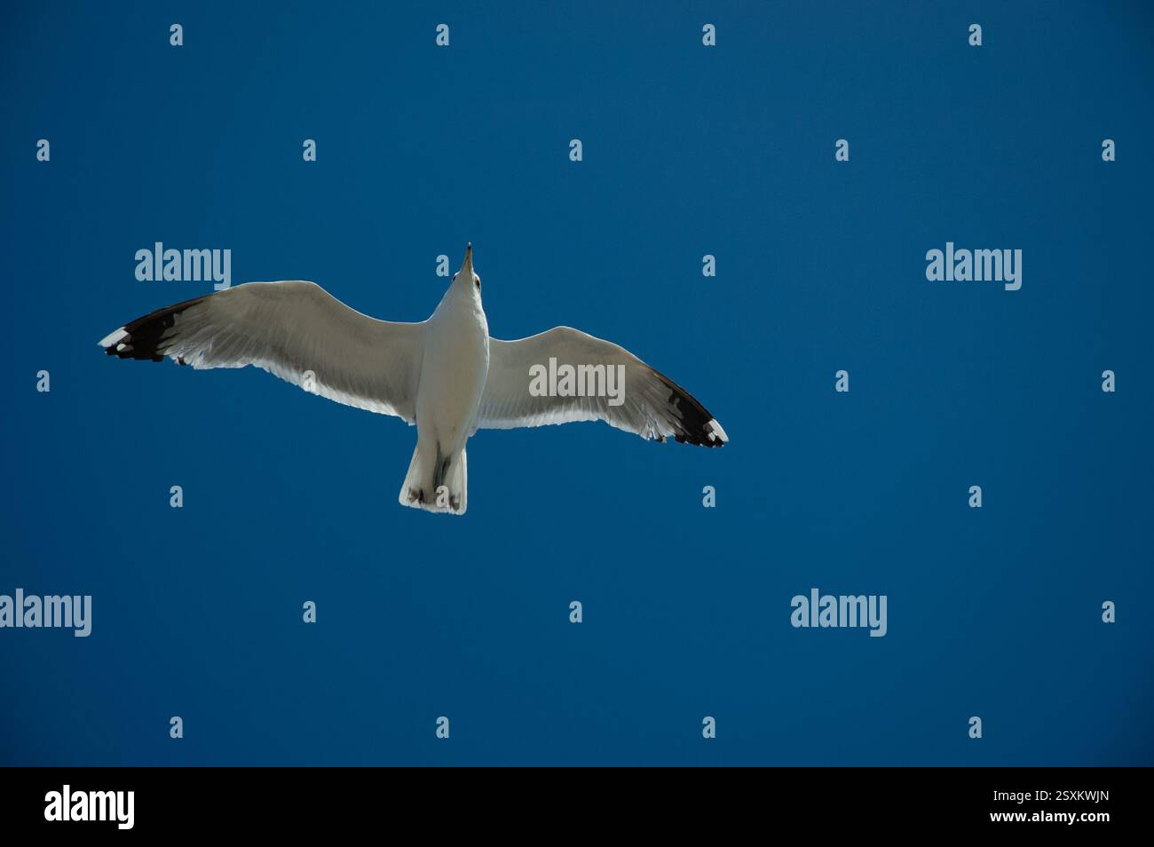 Dynamic sky overhead hi-res stock photography and images - Alamy