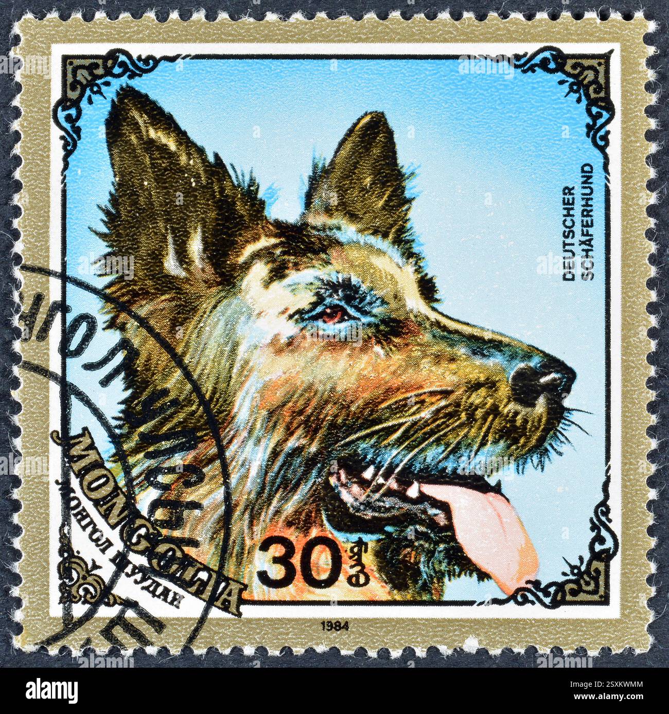 Cancelled postage stamp printed by Mongolia, that shows German Shepherd ...