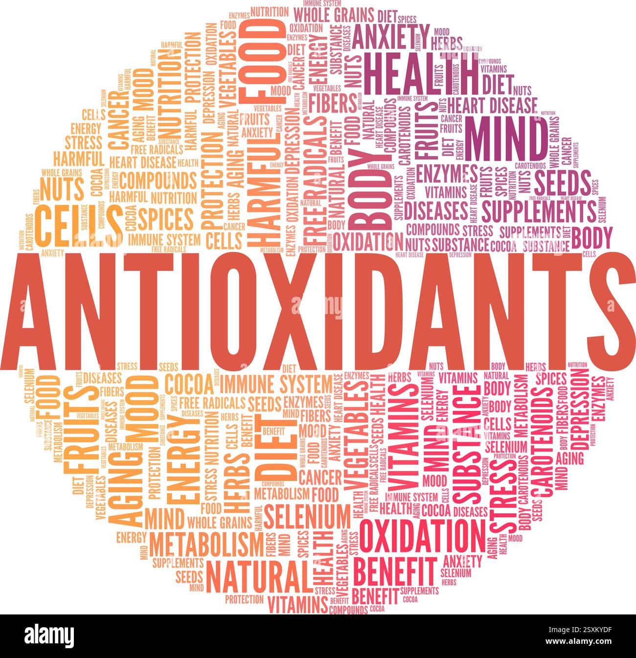 Antioxidants vector illustration word cloud isolated on a white ...
