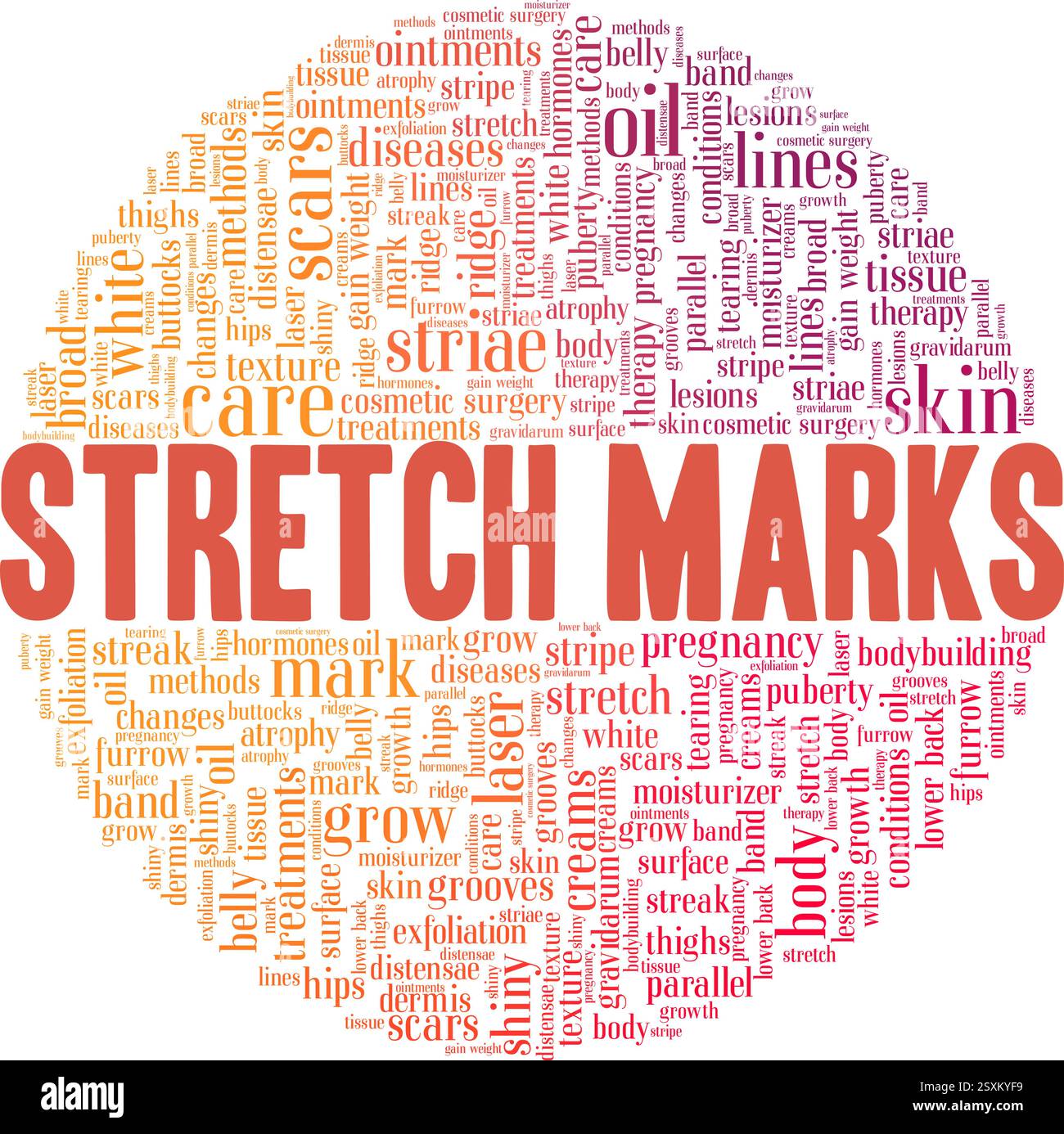 Stretch Marks vector illustration word cloud isolated on a white ...