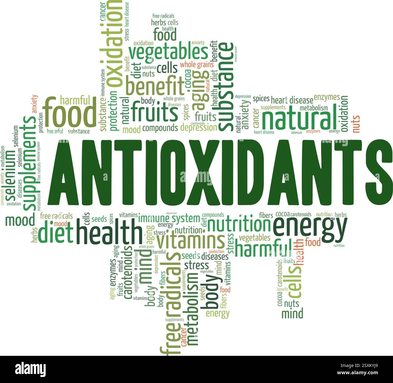 Antioxidants vector illustration word cloud isolated on a white ...