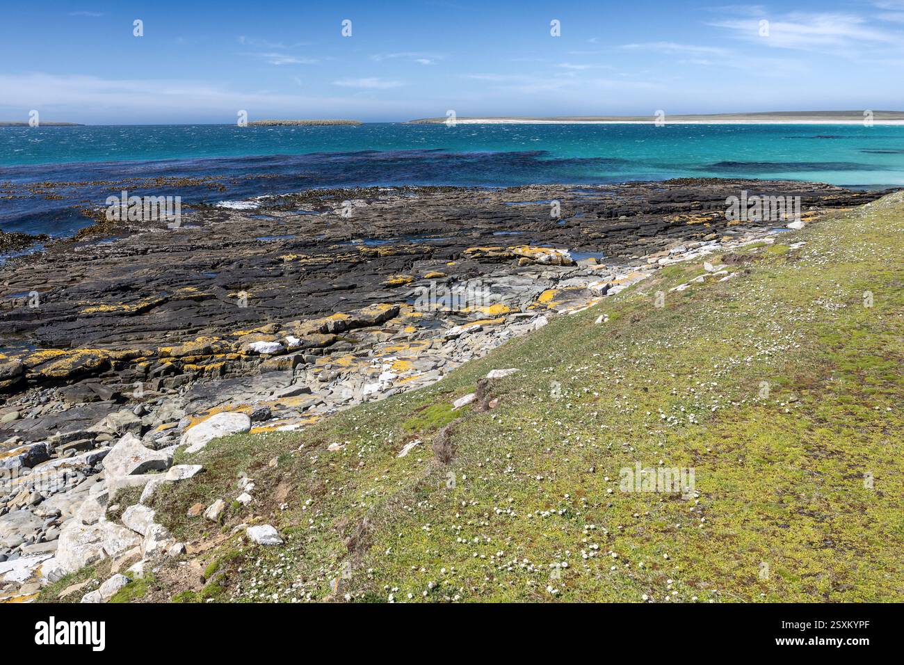 Landscape, Bleaker Island, Falkland Islands Stock Photo - Alamy