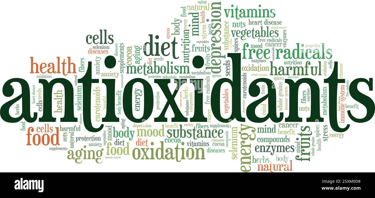 Antioxidants vector illustration word cloud isolated on a white ...