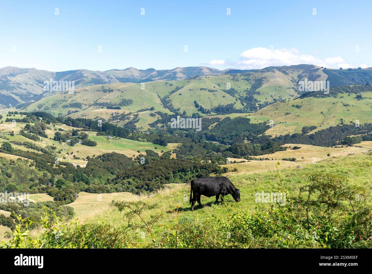 Rural landscape from hill road to Akaroa, State Highway 75, Puaha ...