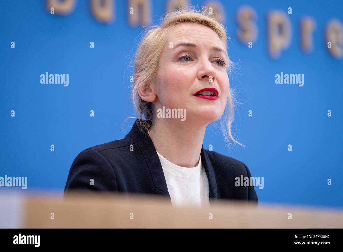 Bundespressekonferenz Die Linke - Zu den Bundestagswahlen- Ines ...