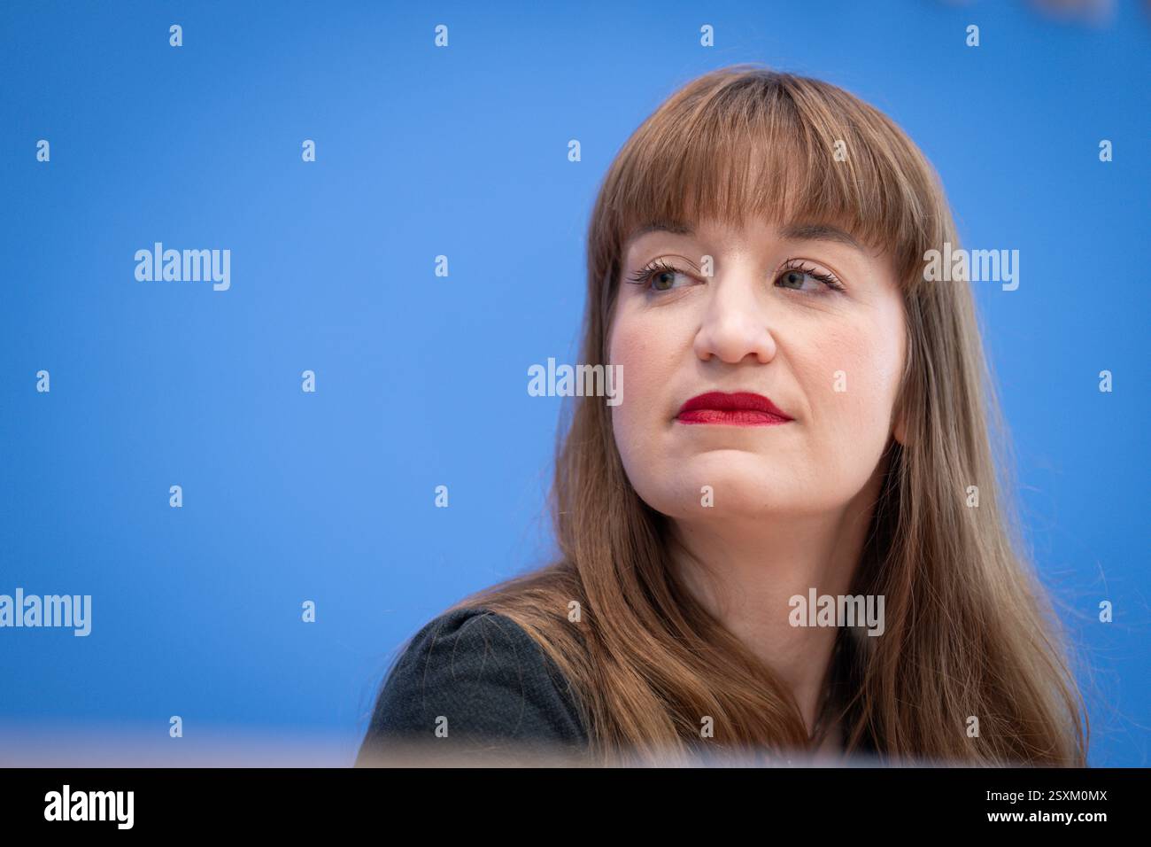 Bundespressekonferenz Die Linke - Zu den Bundestagswahlen- Heidi ...
