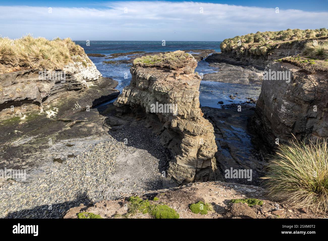 Landscape, Bleaker Island, Falkland Islands Stock Photo - Alamy