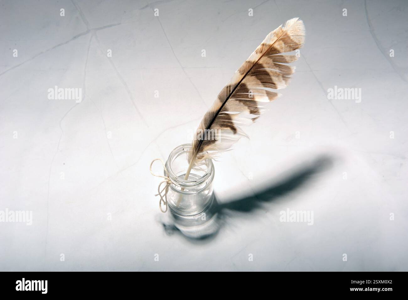 A Single brown and white feather in a glass container. Copy space Stock ...