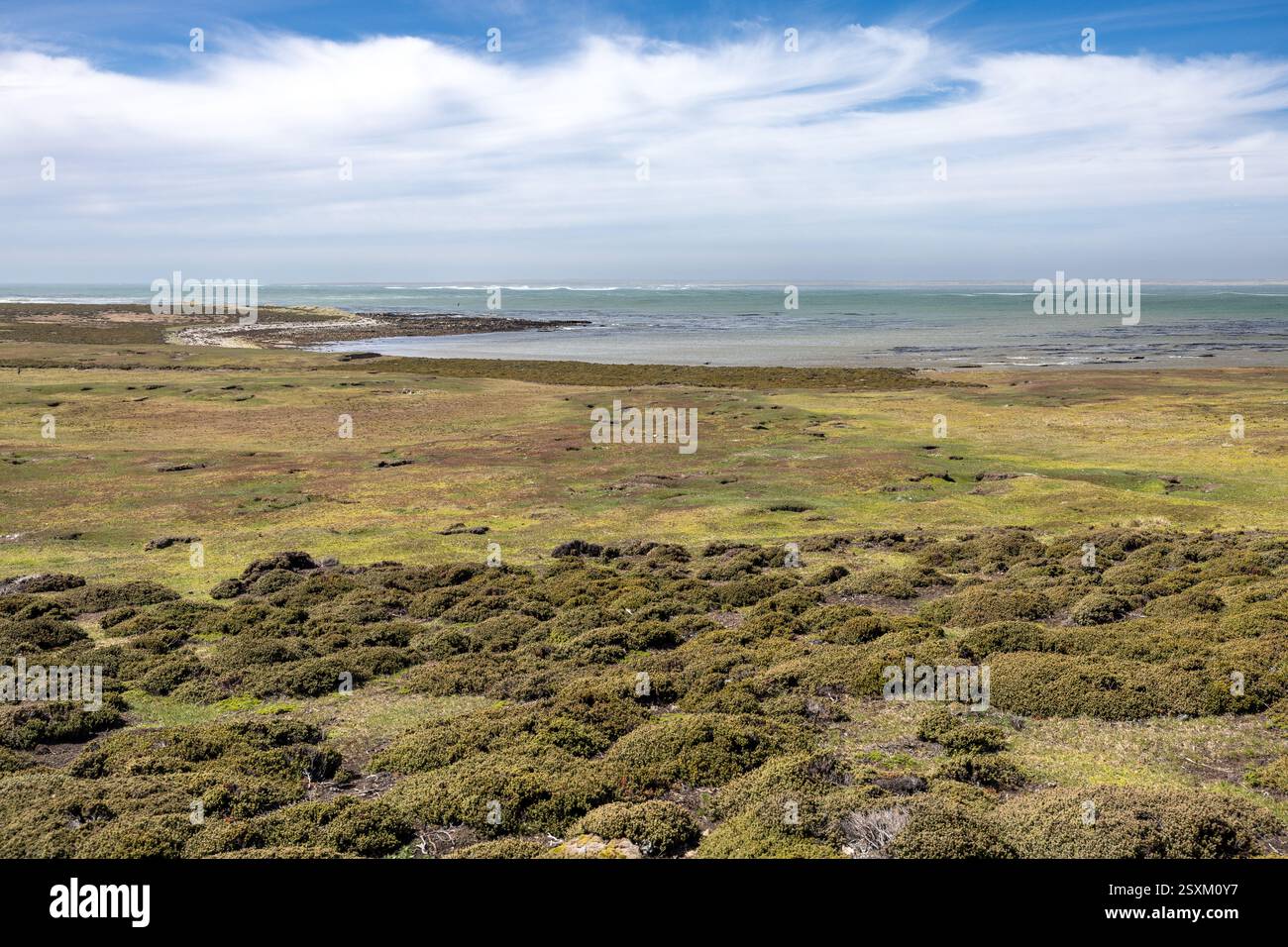 Landscape, Pebble Island, Falkland Islands Stock Photo - Alamy