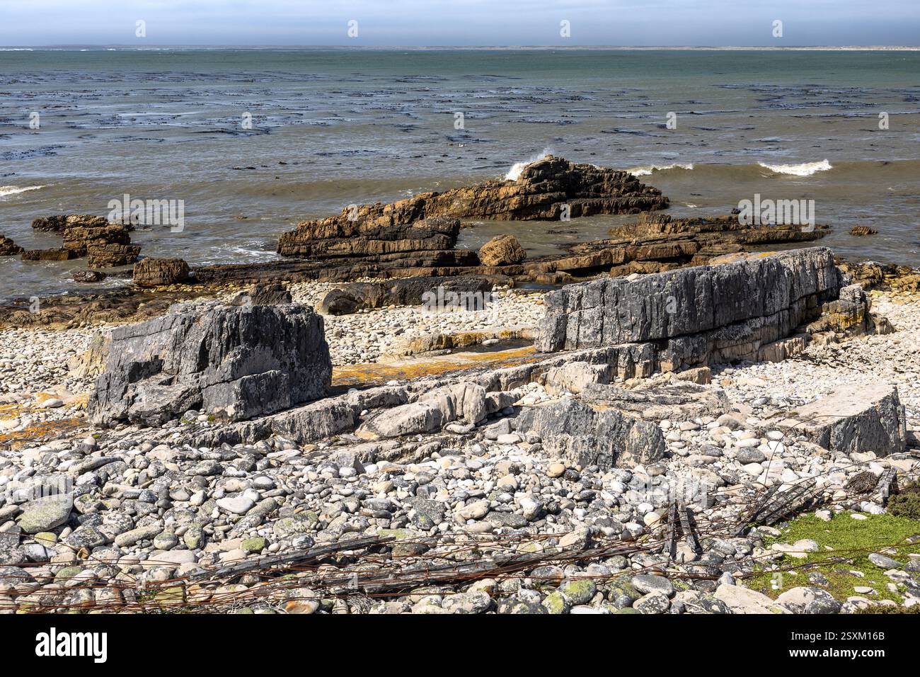 Landscape, Pebble Island, Falkland Islands Stock Photo - Alamy