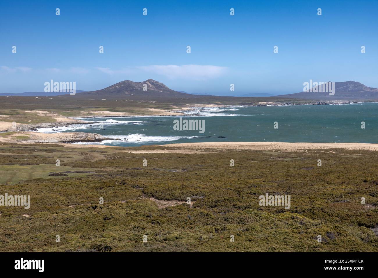 Landscape, Pebble Island, Falkland Islands Stock Photo - Alamy