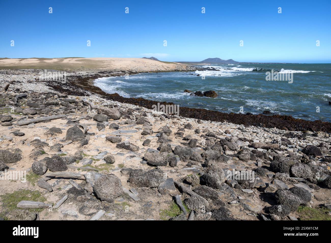 Landscape, Pebble Island, Falkland Islands Stock Photo - Alamy
