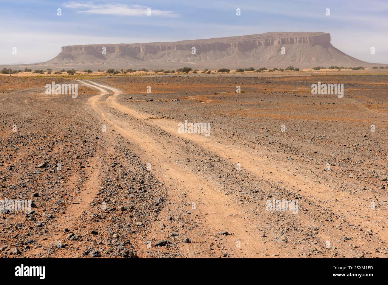 Iriqui National Park, Morocco's largest, covers 1230 square kilometers ...