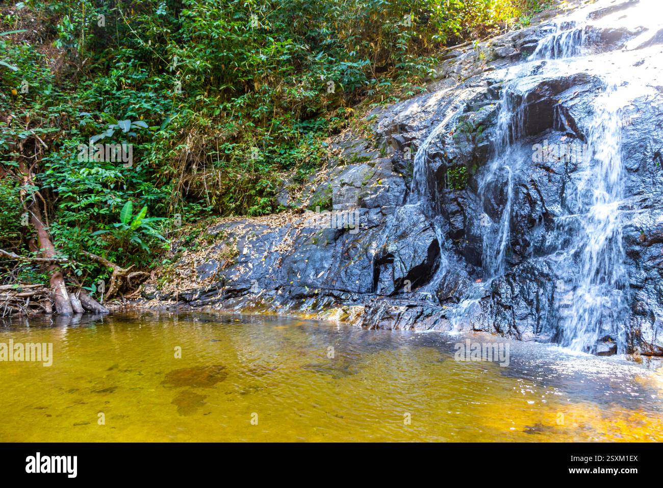 Ton Chongfa Waterfall and tropical jungle nature landscape and green ...