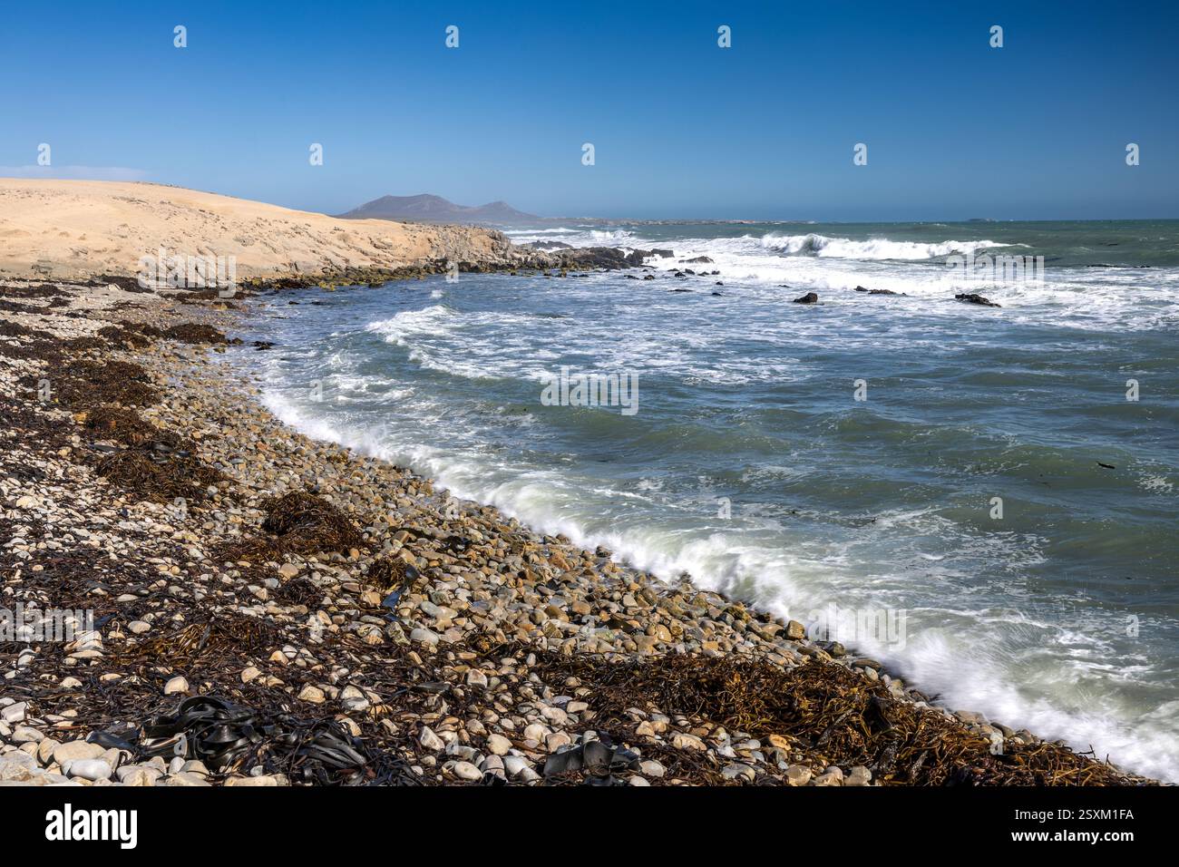 Landscape, Pebble Island, Falkland Islands Stock Photo - Alamy