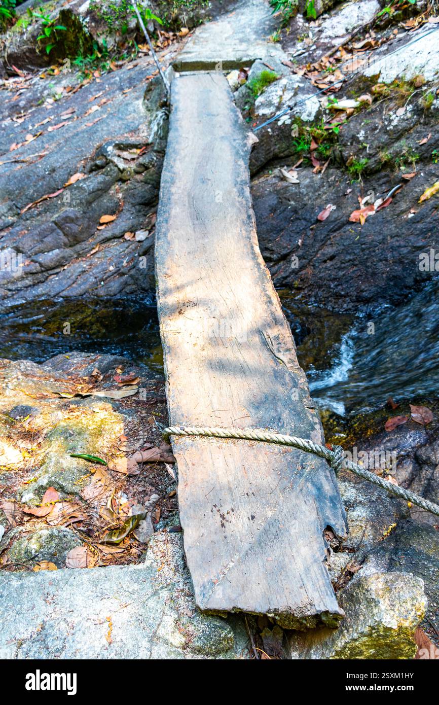 Ton Chongfa Waterfall and tropical jungle and wooden beam tree trunk ...