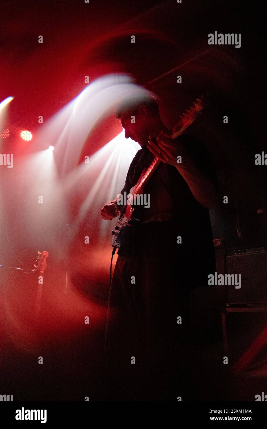 Squid - Anton Pearson Stock Photo - Alamy