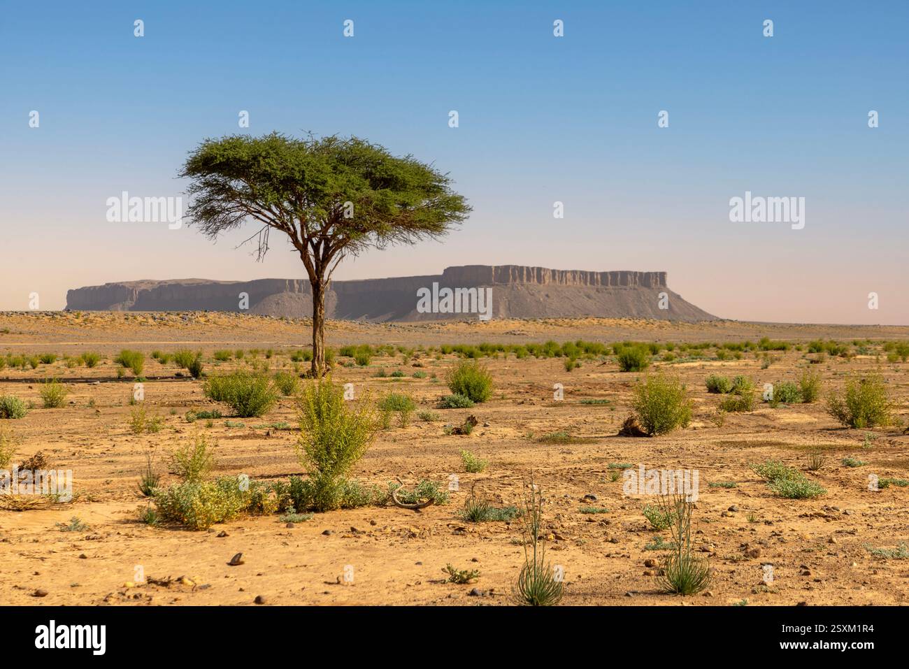 Iriqui National Park, Morocco's largest, covers 1230 square kilometers ...