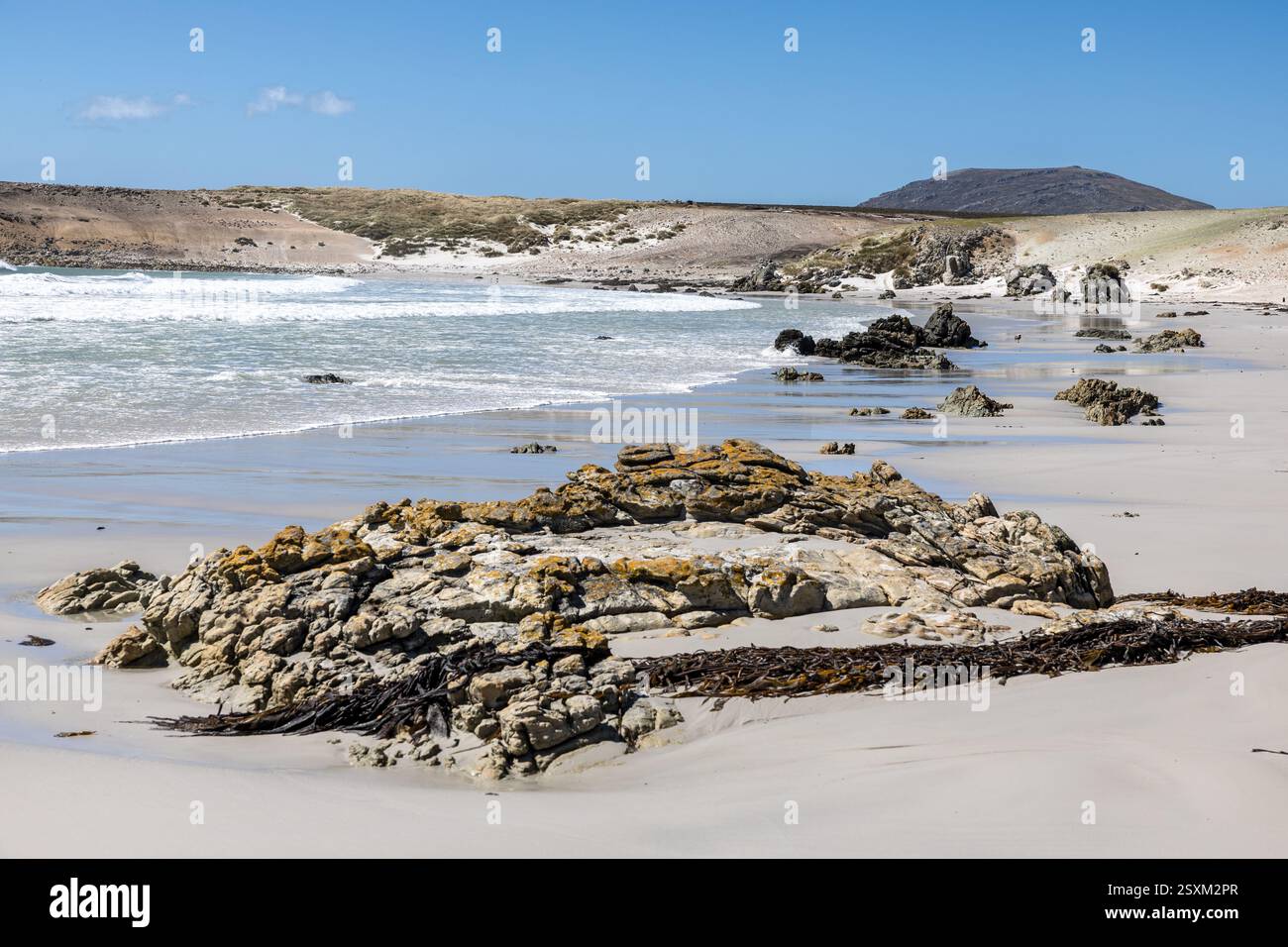 Landscape, Pebble Island, Falkland Islands Stock Photo - Alamy
