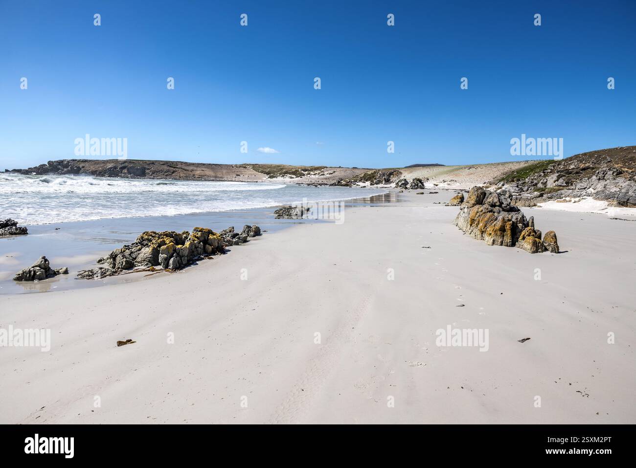 Landscape with 4x4 tracks, Pebble Island, Falkland Islands Stock Photo ...