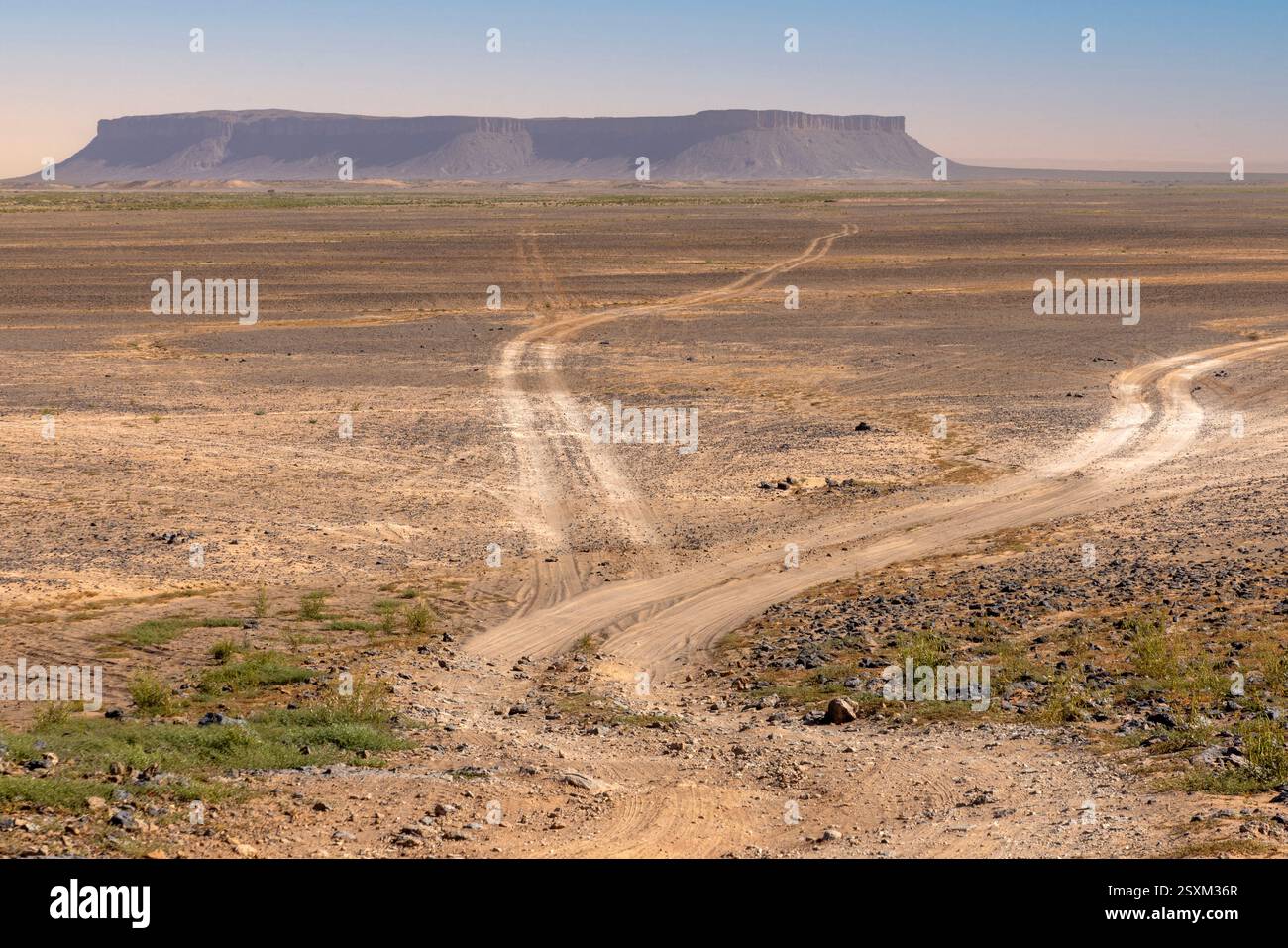 Iriqui National Park, Morocco's largest, covers 1230 square kilometers ...