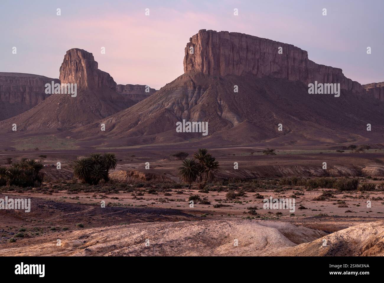 Rock formations and Oasis Laarjimia in the lriqui National Park near ...