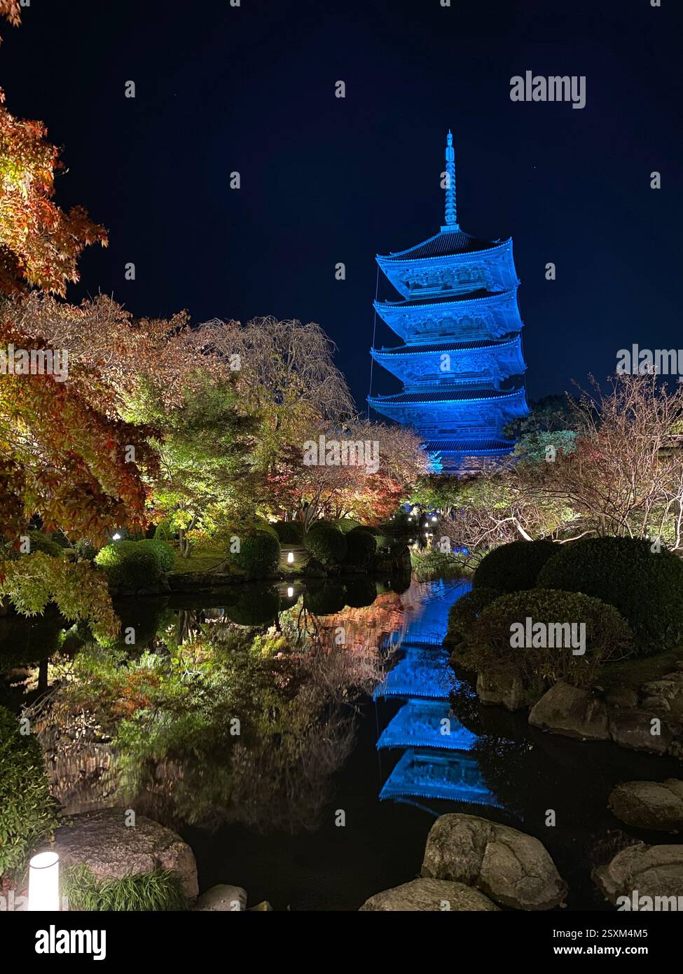 Maple trees at night illuminated and reflected on the lake in red ...