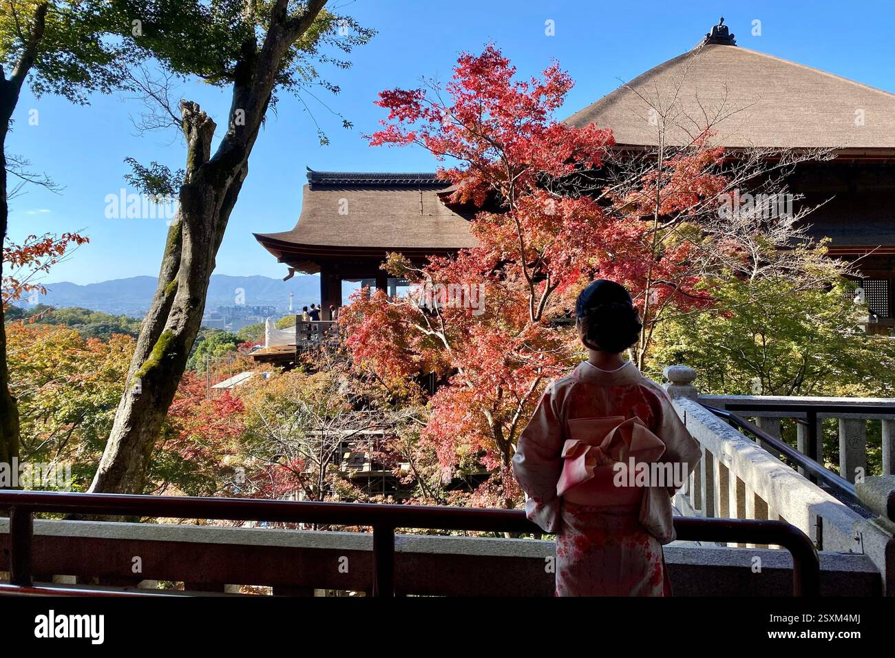 Girl wearing a beautiful pink kimono in the Kiyomizu temple replete of ...