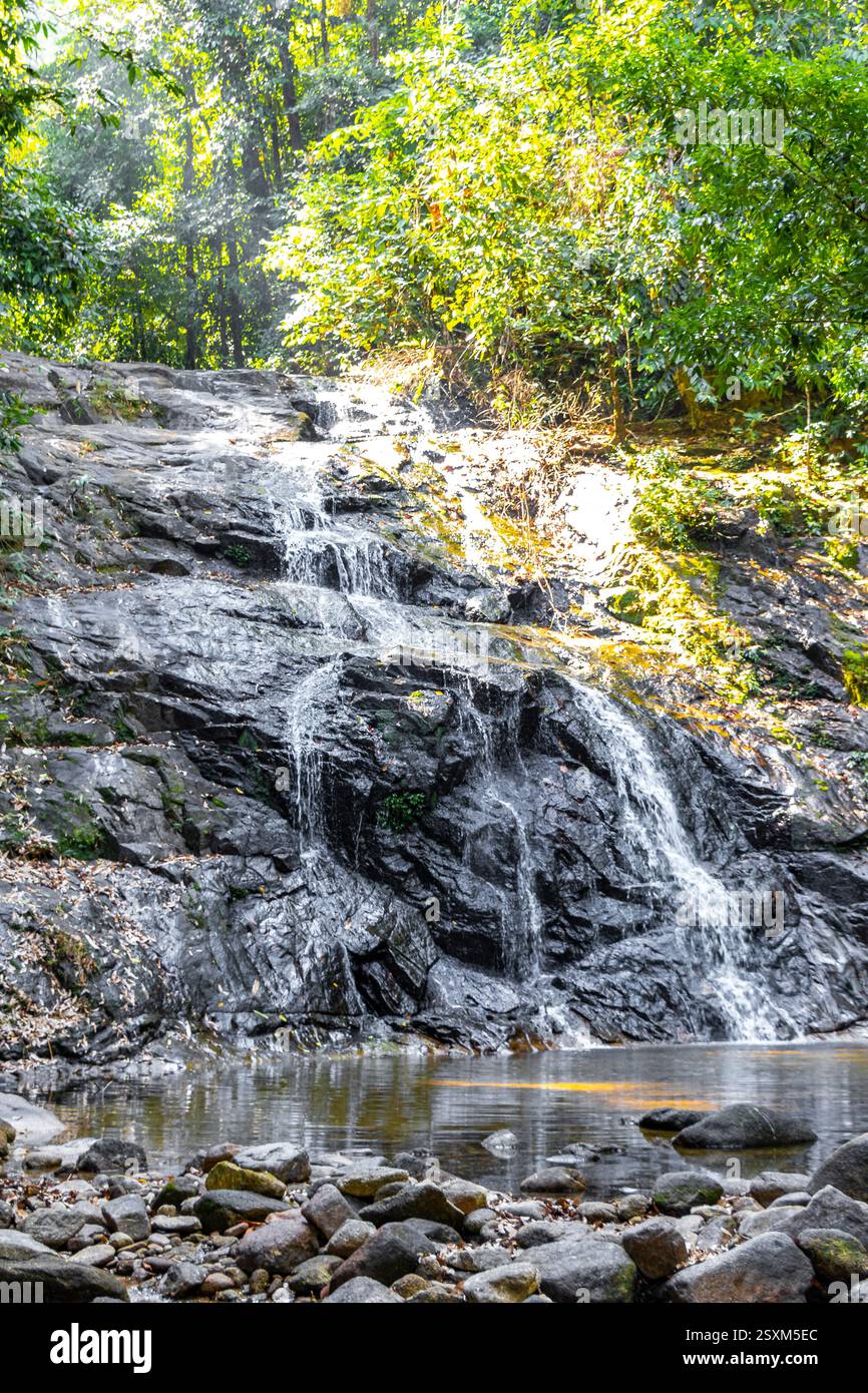 Ton Chongfa Waterfall and tropical jungle and nature landscape in Khao ...
