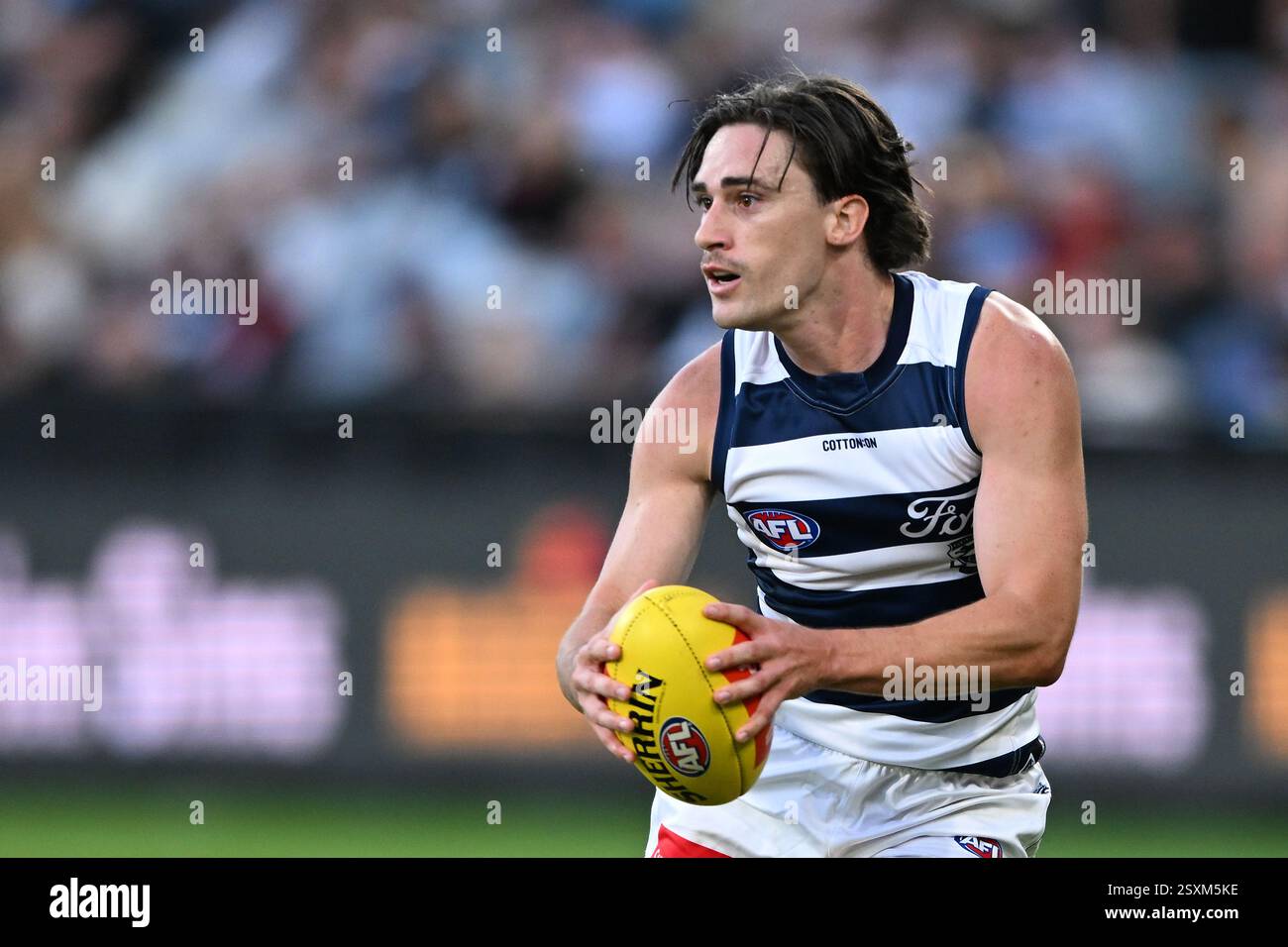 Geelong, Australia. 25th Feb, 2025. Gryan Miers of Geelong in action ...