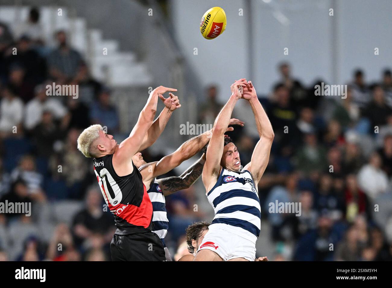 Geelong, Australia. 25th Feb, 2025. Nate Caddy of Essendon (left) and ...