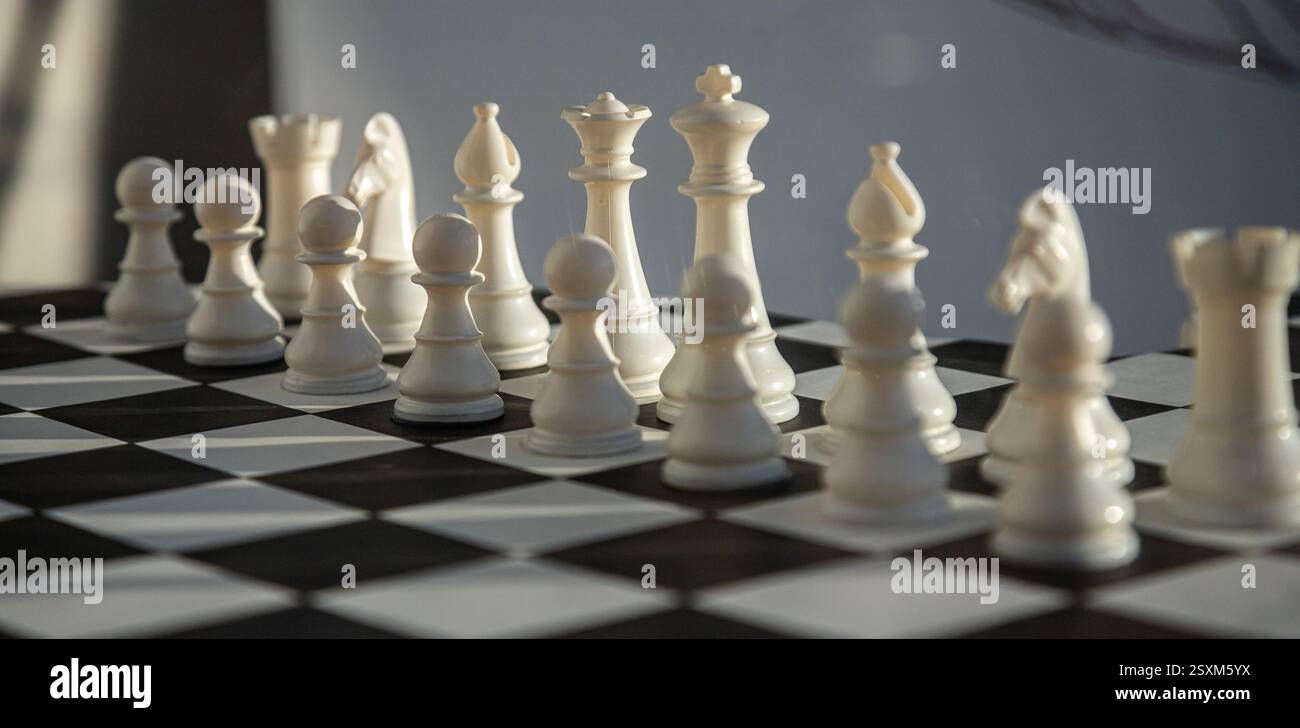 A strategic chess setup showcases white pieces on a black and white ...
