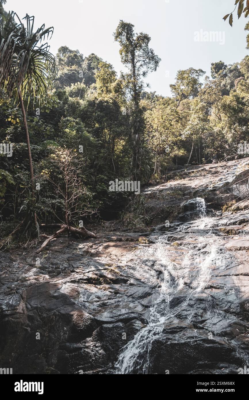 Ton Chongfa Waterfall and tropical jungle and nature landscape in Khao ...