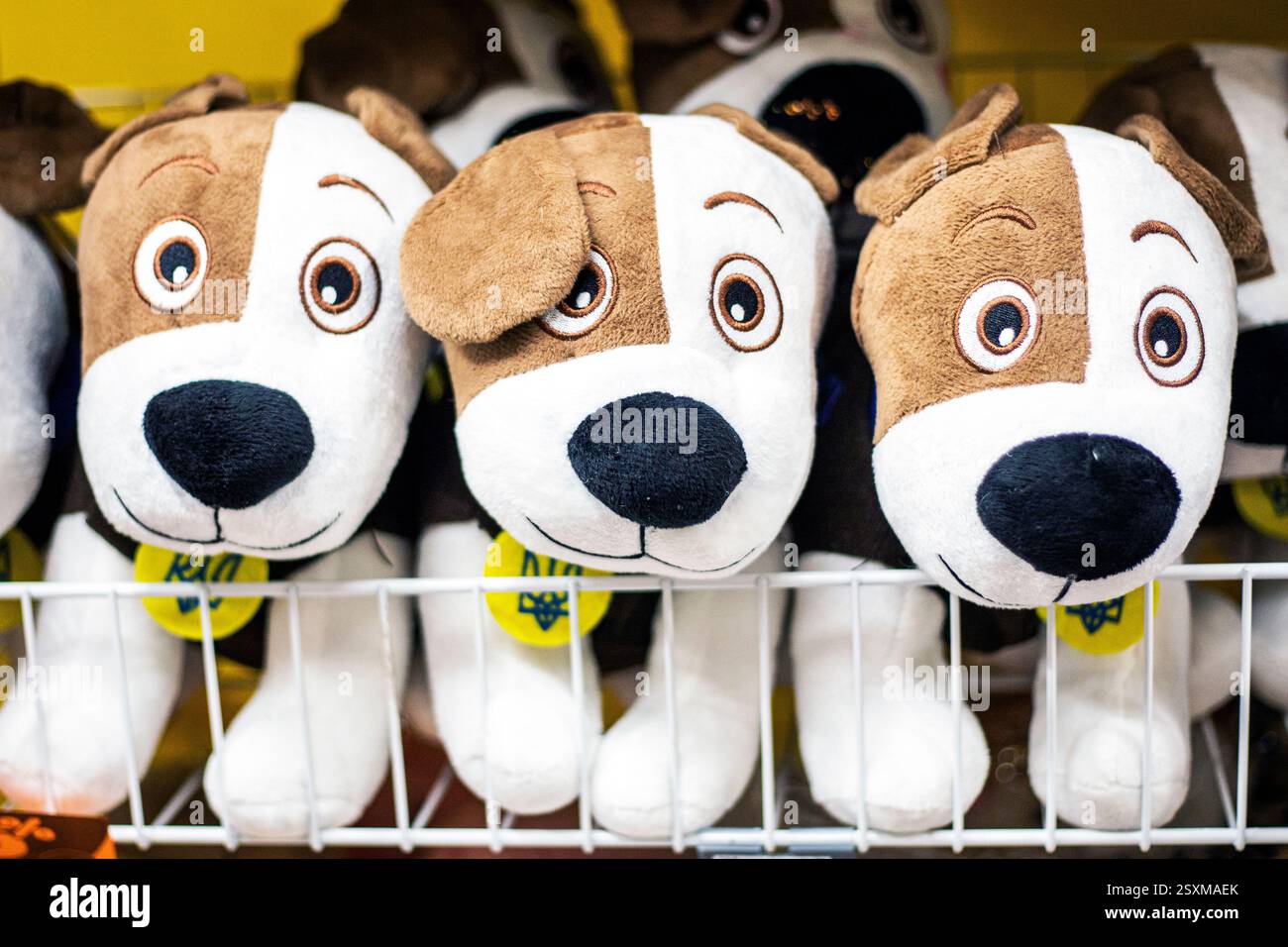 cute plush dogs jack russell terrier. Patron dog Stock Photo - Alamy