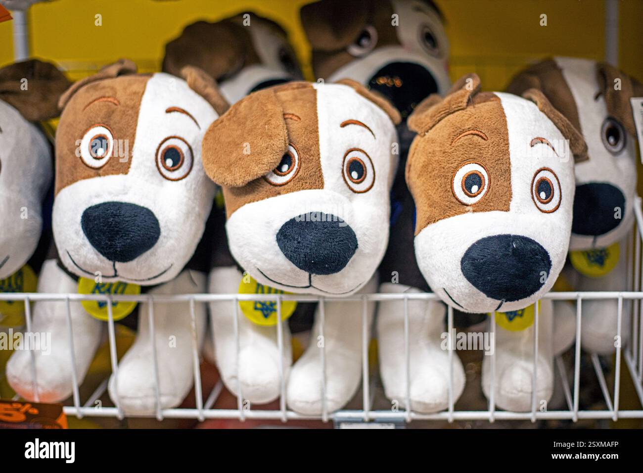 Toy patron dog hi-res stock photography and images - Alamy