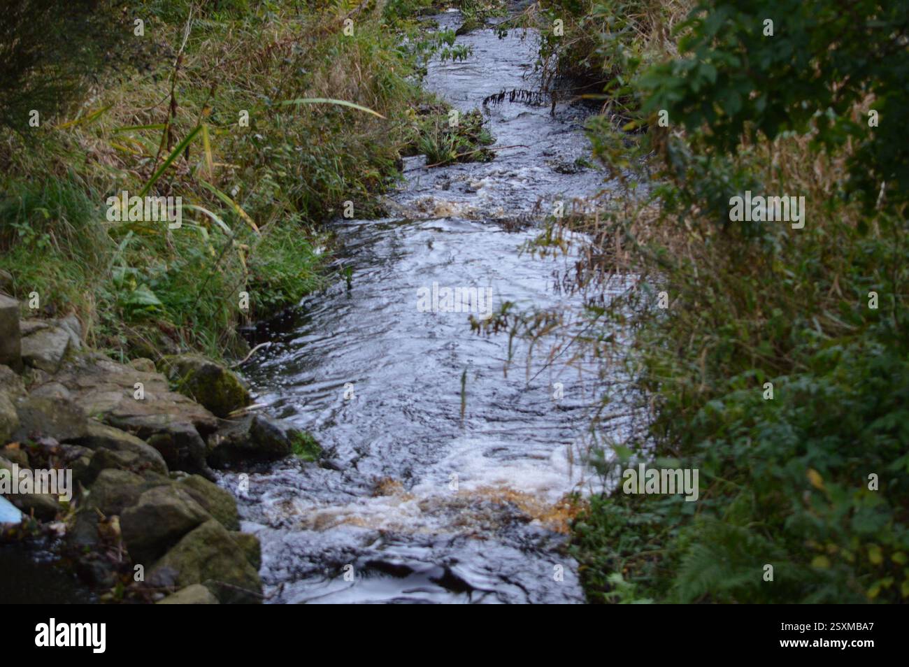 Stream burn hi-res stock photography and images - Alamy