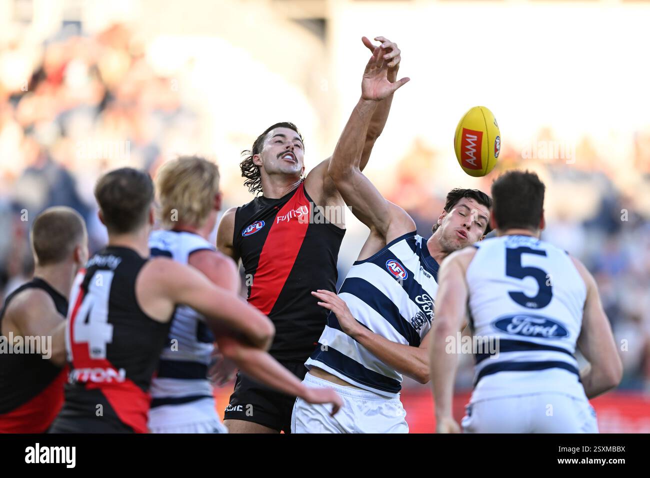 Geelong, Australia. 25th Feb, 2025. Sam Draper of Essendon and Shannon ...