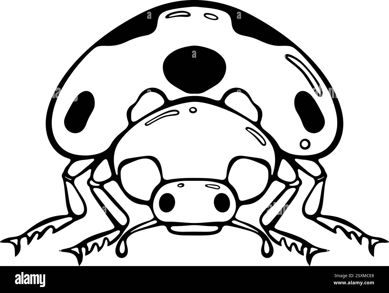 Ladybug front view line art Stock Vector Image & Art - Alamy