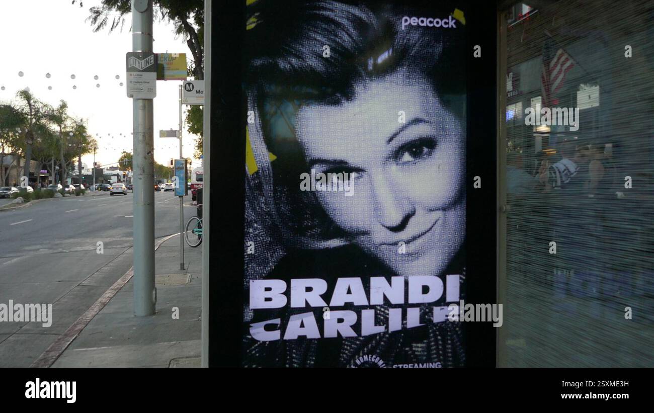 Los Angeles, California, USA 23rd February 2025 Brandi Carlile SNL ...