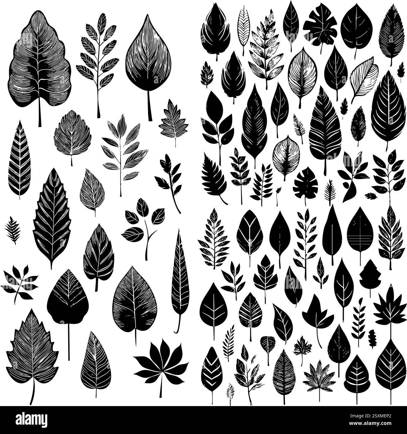 High detail leaf leaves sketch hand drawing Stock Vector Image & Art ...