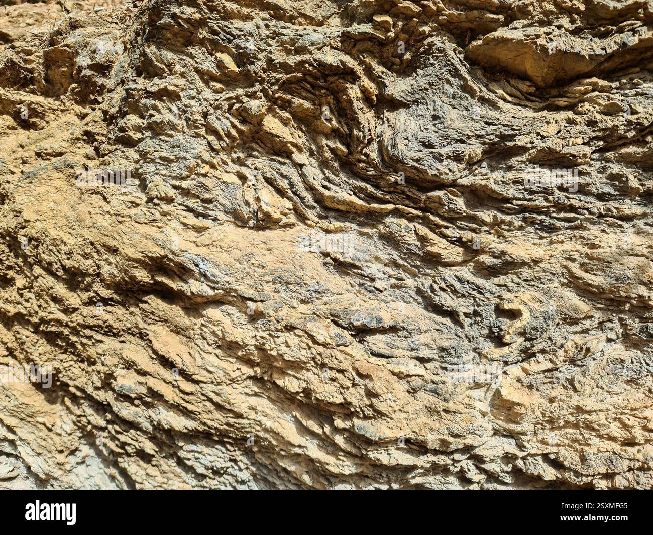 Close up view of a weathered rock face revealing intricate geological ...