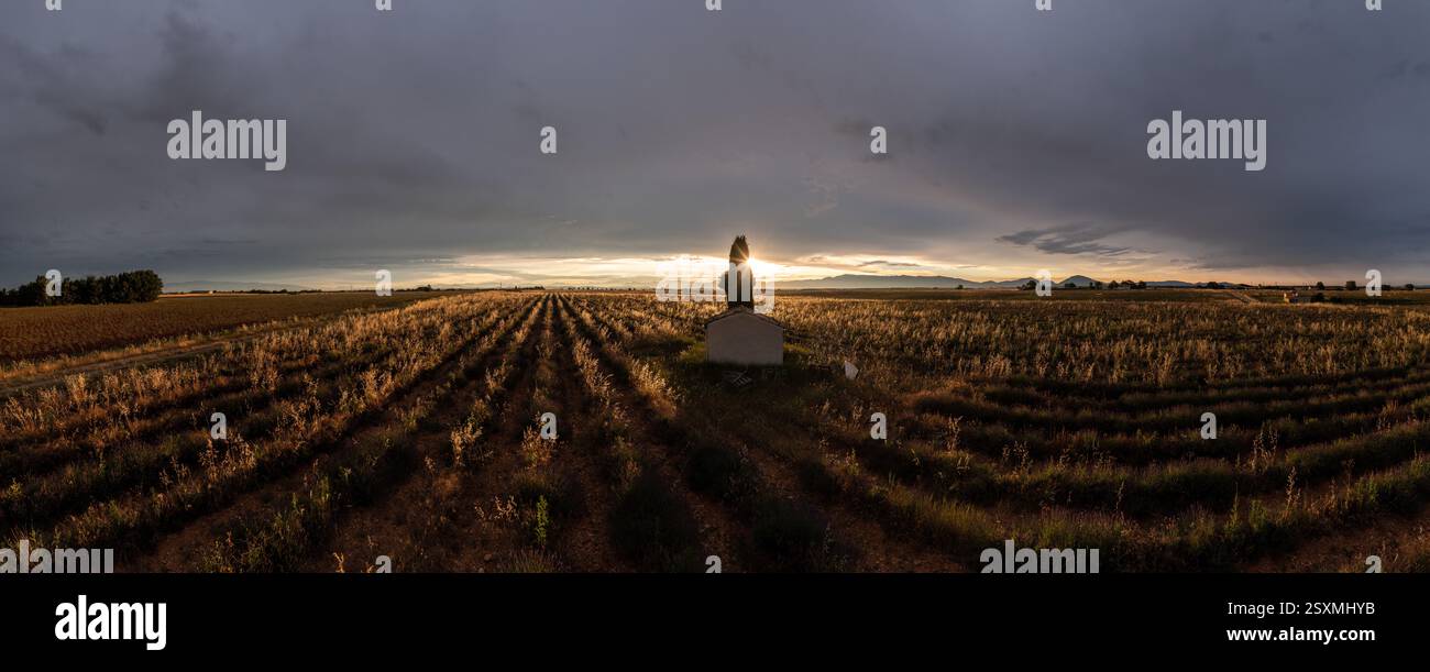 Aerial Panoramic View of Provence Fields at Sunset Stock Photo - Alamy