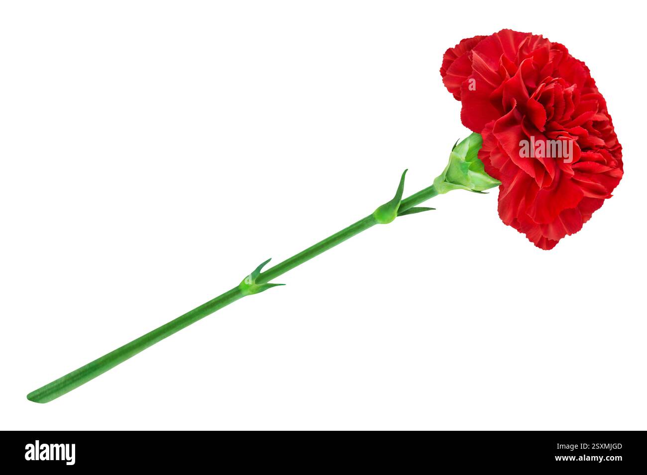 Parteisymbol Cut Out Stock Images & Pictures - Alamy