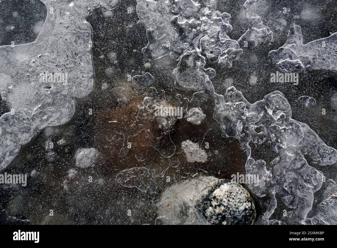the nature ice surface with frozen air bubbles, close-up. Abstract ...