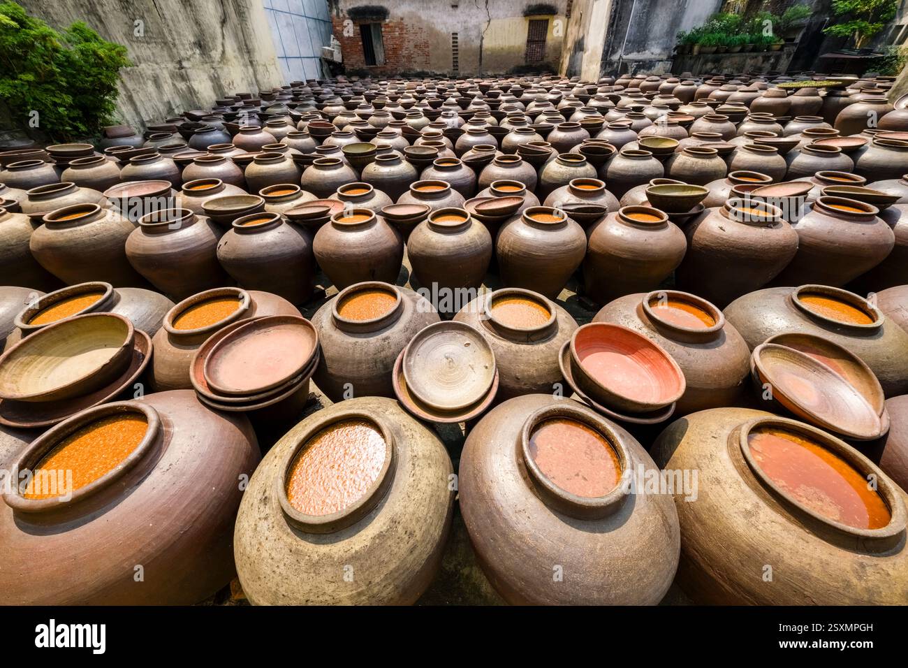 Soy sauce is made in large earthenware pots in a backyard in the small ...