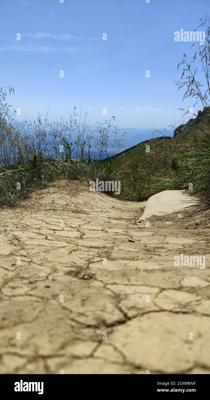 vertical, dry cracked path ground in mountains. grass on background ...