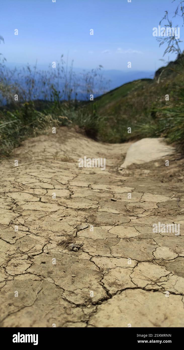 vertical, dry cracked path ground in mountains. grass on background ...