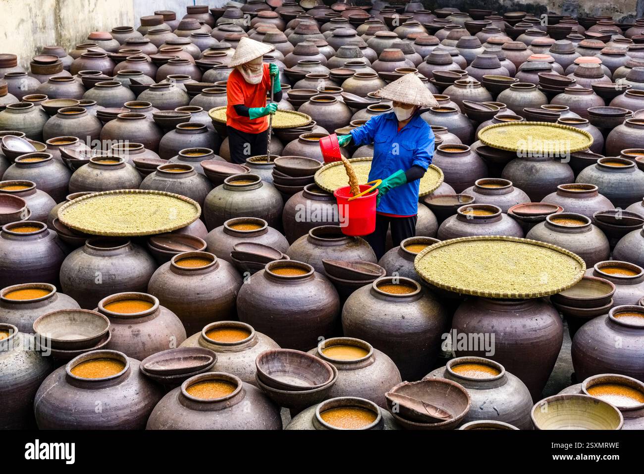 Soy sauce is made in large earthenware pots in a backyard in the small ...