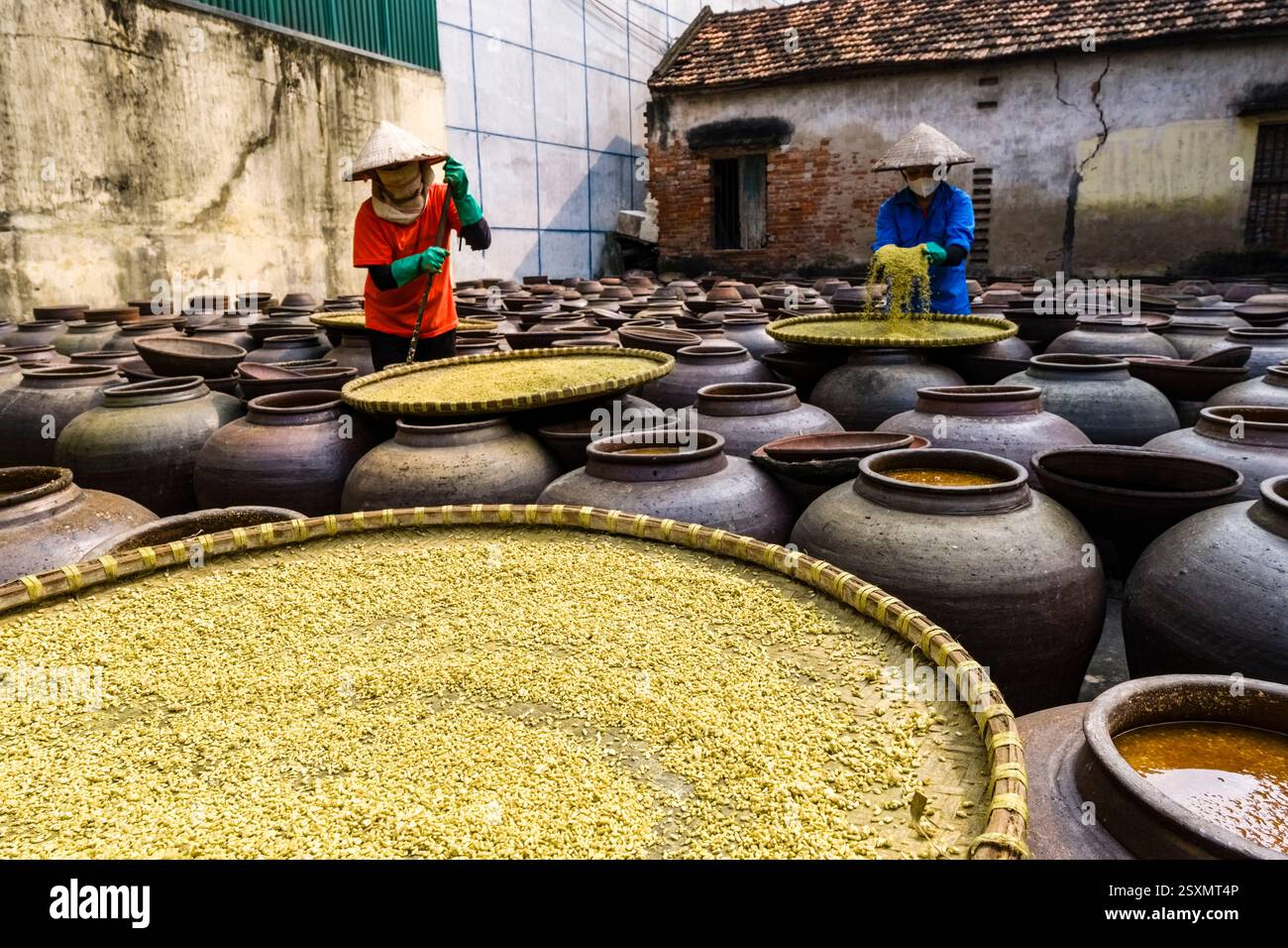 Soy sauce is made in large earthenware pots in a backyard in the small ...