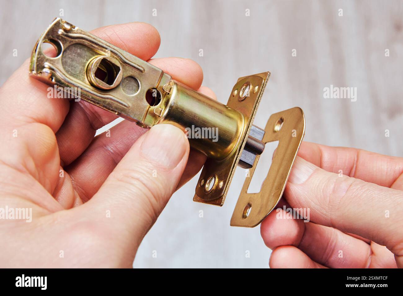 Tubular lock component, displays extendable latch, metal housing with ...